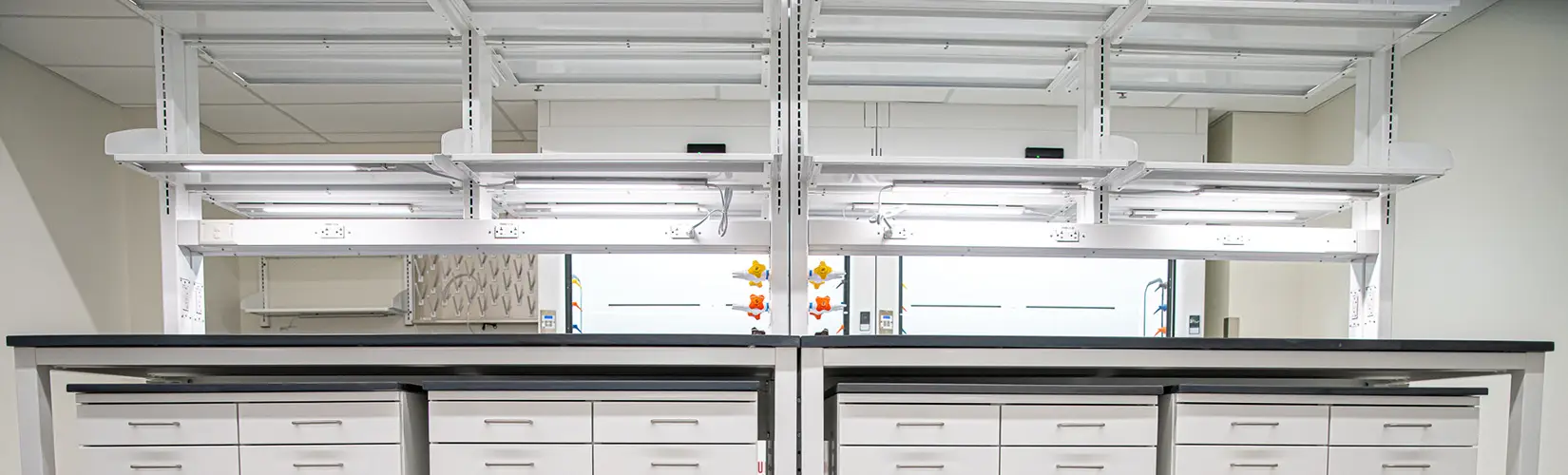 Painted Steel Casework for Labs | AMS